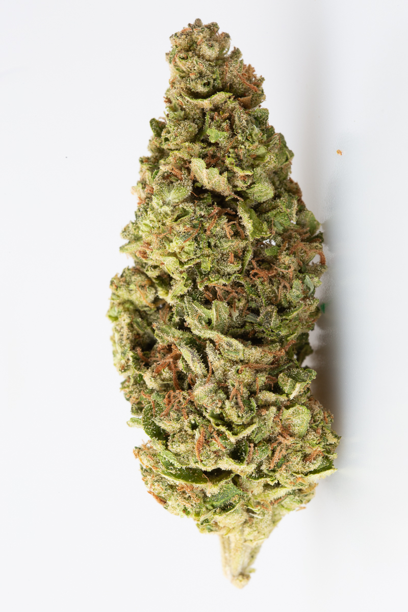 Chocolope | Millerville Farms