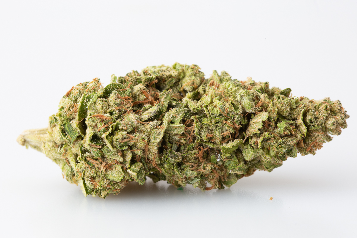Chocolope | Millerville Farms